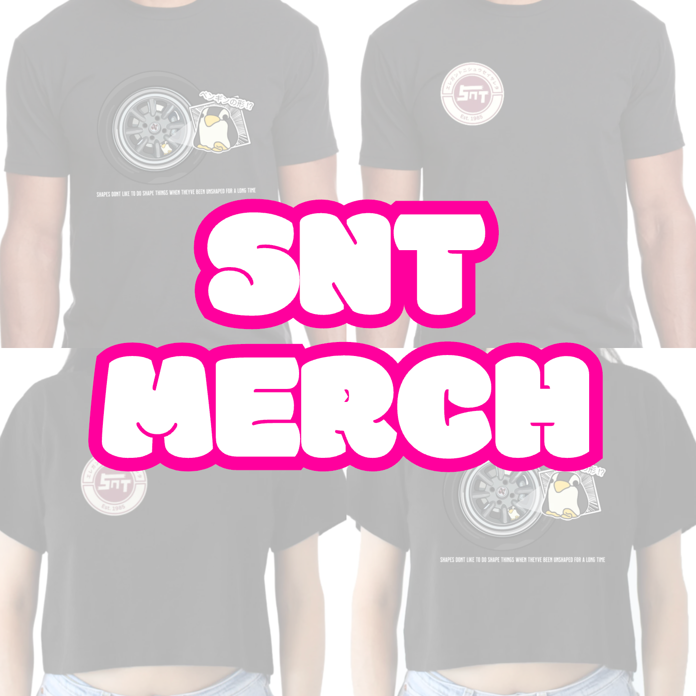 Merch – Sarah-n-Tuned